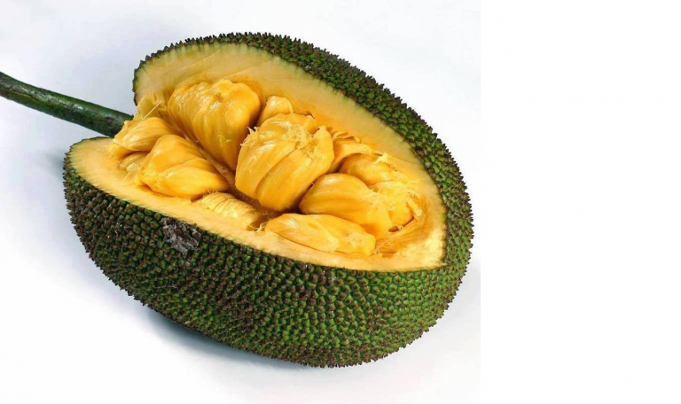 jaca-brazil-fruit - Places to Visit Brazil